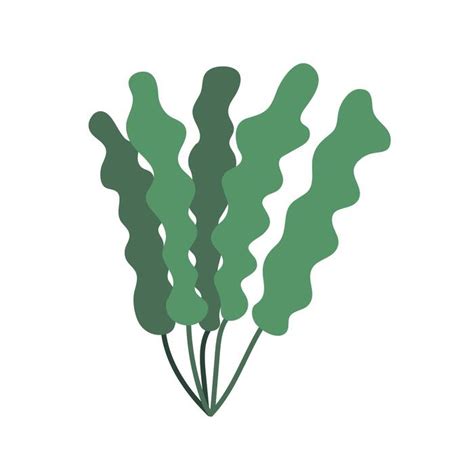 Ocean Algae Clipart
