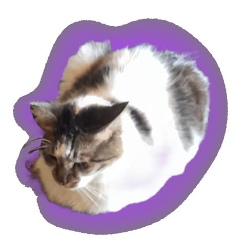 Plasma Void Object Dumb Wiki Fandom