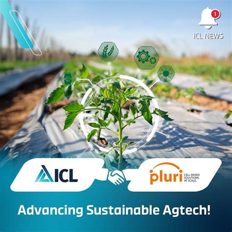 Agtech Innovation Sustainability Yaky Yanay