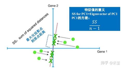 统计学分析方法 4 数据降维 主成分分析 知乎 统计学分析方法 4 数据降维 主成分分析 知乎