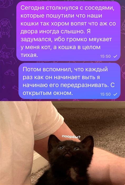 ﻿Сегодня столкнулся с соседями которые пошутили что наши кошки так хором вопят что аж со двора