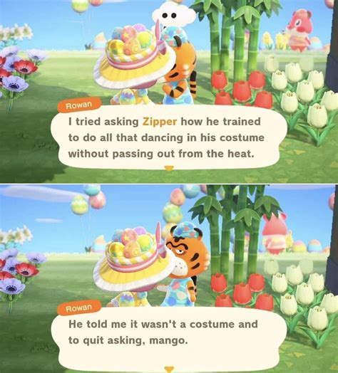 Rowan Asking The Real Question R Ac Newhorizons