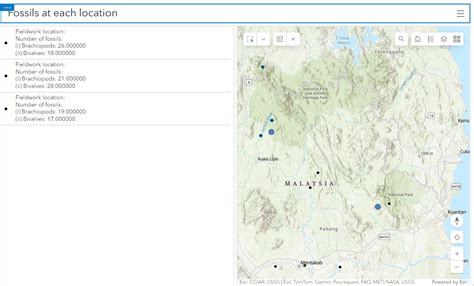 How To Show Related Records In Arcgis Dashboards