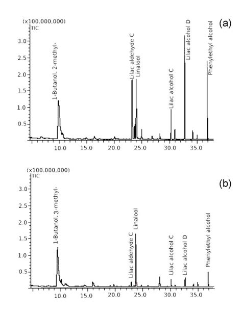 Sample Chromatograms With Main Volatile Compounds In Flowers Of Two Download Scientific Diagram