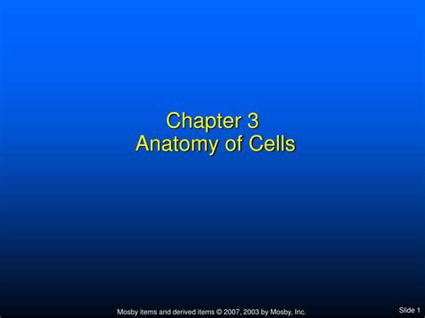 PPT Chapter Anatomy Of Cells PowerPoint Presentation Free Download ID