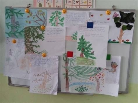 ჯილდას ბლოგი სოციალური პროექტისოციალური ადაპტაცია ბავშვებში