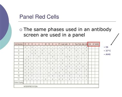 Ppt Antibody Identification Powerpoint Presentation Id 269866