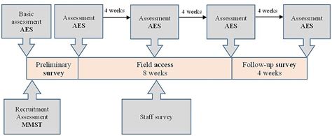Frontiers Effects Of The Tovertafel® On Apathy Social Interaction