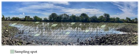 Bdcc Free Full Text Deep Learning Driven Turbidity Level Classification