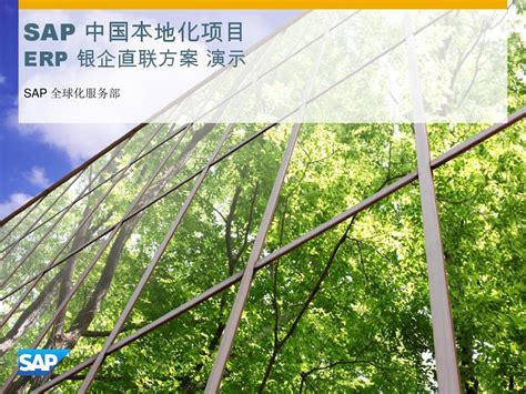 Sap银企直连word文档在线阅读与下载无忧文档