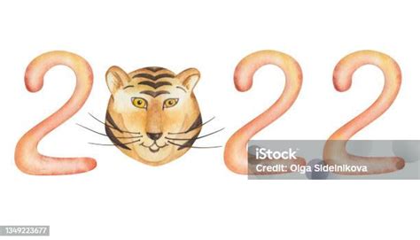 수채화 일러스트 핸드 그린 오렌지 번호 2022 와 흰색에 고립 된 남성 호랑이 중국 달력의 새해 기호 2022년에 대한 스톡 벡터 아트 및 기타 이미지 Istock