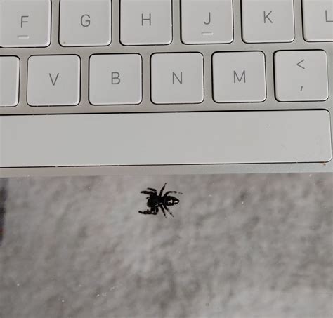 Anna Hoang On Linkedin Webdeveloper Frontend Openforwork