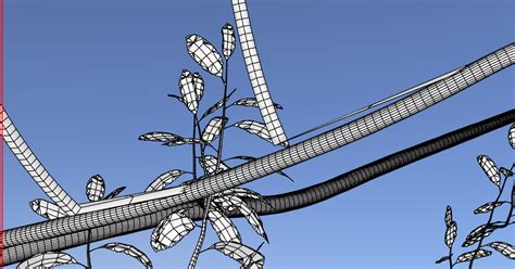 Broken Weld On Subd Surface Speedtree Unity Discussions