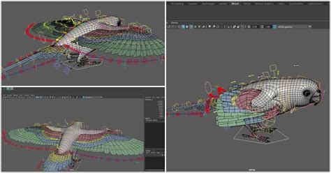 Great Bird Rig For Animating Parrots In Maya