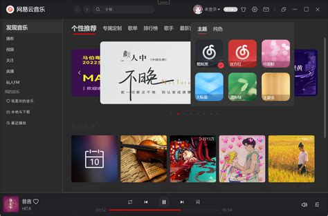 使用 c 和 wpf 开发网易云音乐 董川民