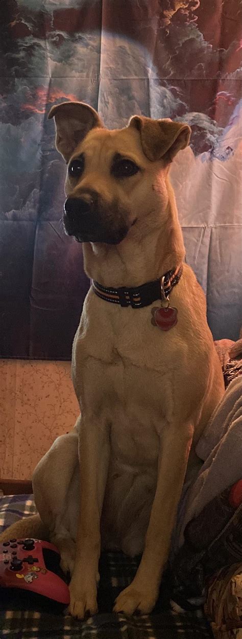My Girl Stuck Inside With Me On A Rainy Day Rblackmouthcur
