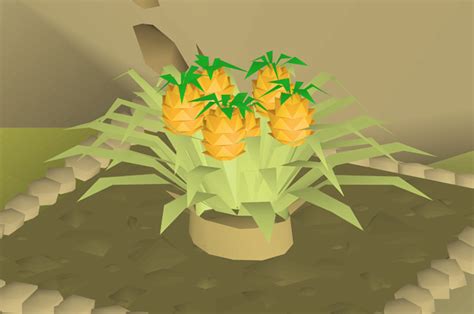 How To Make Supercompost Osrs Guide Fandomspot