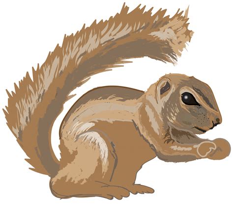 212 Adaptation The Evolution And Biology Of Sex