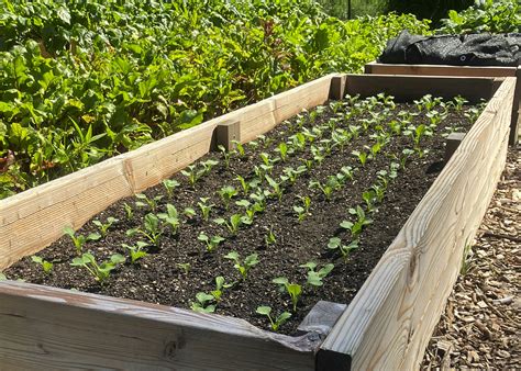 The Powerful Potential Of Tiny Conservation Plots