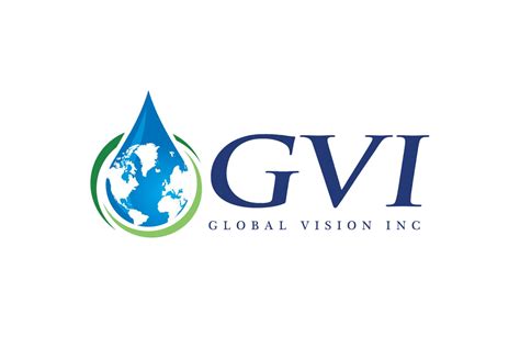 Gvi Flush Kit Global Vision Inc