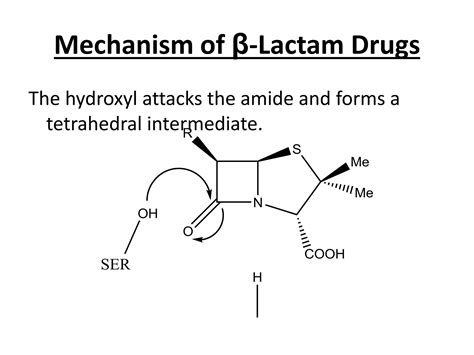 Beta Lactam Antibiotics Pdf