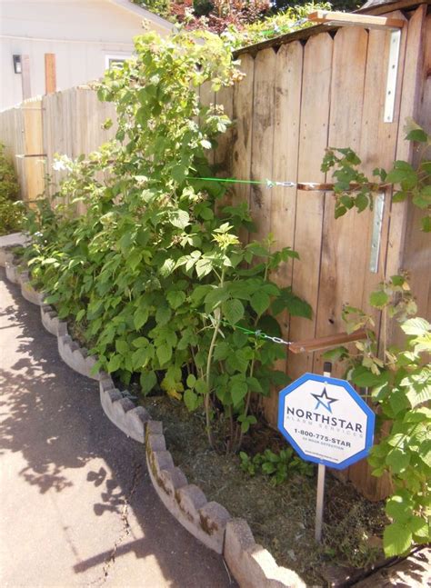 HugeDomains.com | Hortas, Jardinagem, Jardim