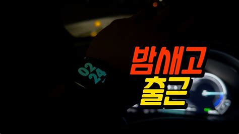 Wlog 밤새고 출근 제네시스 Egv70 세차브이로그 디테일링 셀프세차 습식코팅 Youtube