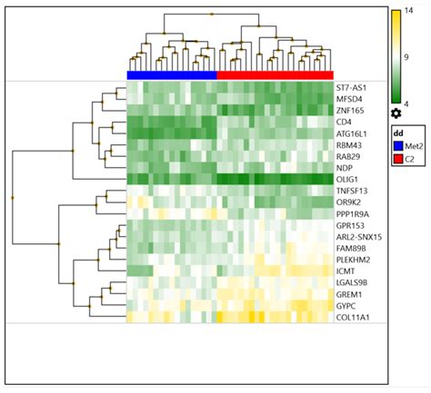 Whole Transcriptome Analysis Of Breast Cancer Tumors During Neoadjuvant Chemotherapy
