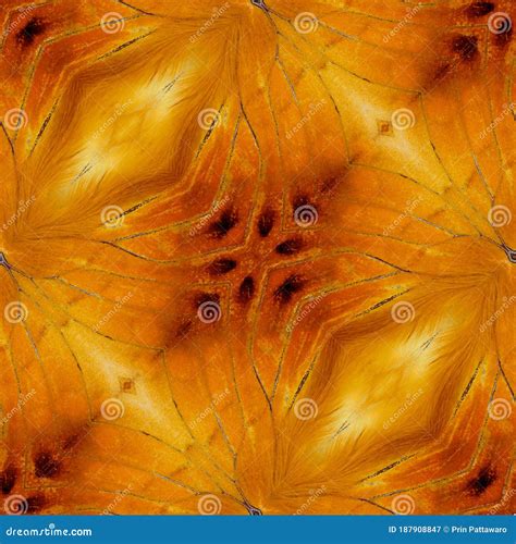 Background Pattern Designed From Rajah Malay Butterfly Wings Texture