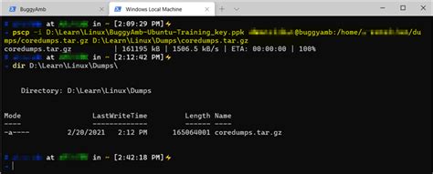 將核心傾印檔案複製到另一部計算機 asp core microsoft learn