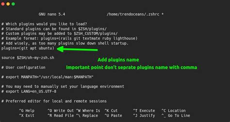 How To Install Zsh Shell Along With Ohmyzsh And Powerlevel10k On Ubuntu 22 04 Trend Oceans