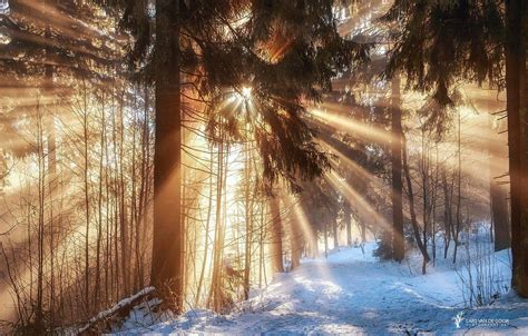 February Nature Wallpapers Top Free February Nature Backgrounds