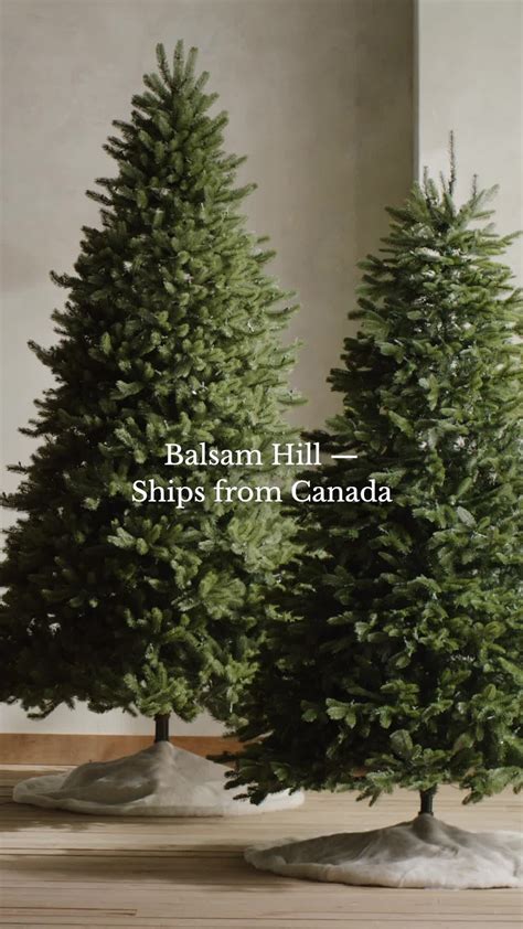 Balsam Hill Christmas Tree Styles