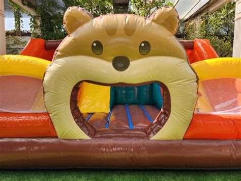 가을 야외 에어바운스 대여 행사 다녀왔습니다 다람쥐 에어 놀이동산 네이버 블로그