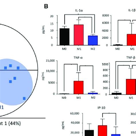 Distinct Cytokine Signatures Of Polarized Macrophages A Partial Download Scientific Diagram