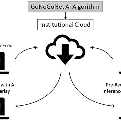 Data Workflow For Ai Deployment For Live Intraoperative Synchronous Download Scientific
