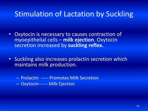 Ppt Pregnancy And Lactation Powerpoint Presentation Free Download