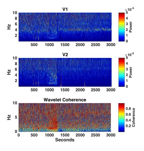 scalograms spectrograms for wavelets of the same data using wavelet