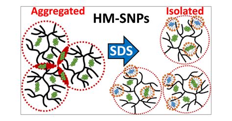 Surfactant Structure Dependent Interactions With Modified Starch Nanoparticles Probed By