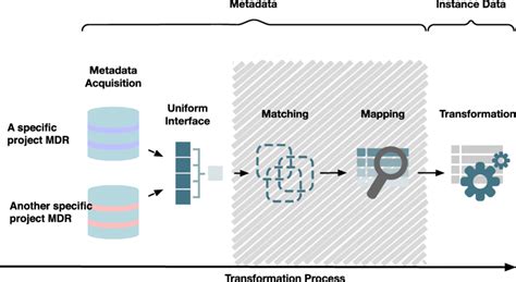 using metadata to support the integration of healthcare instance data