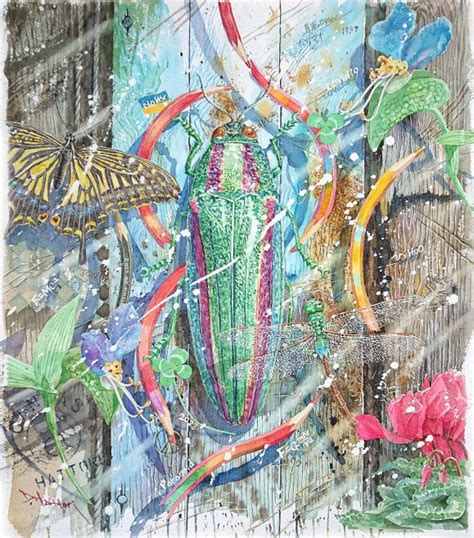 B 3 ☆ Odyssey タマムシ F10 水彩