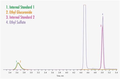 Masschrom® Ethyl Glucuronide Etg And Ethyl Sulfate Ets In Urine Lc Ms Ms