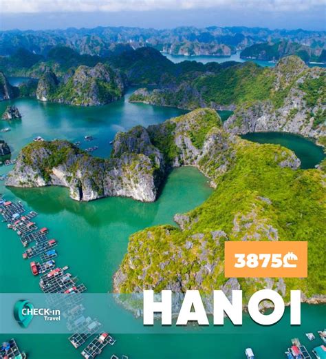 Check In Travel • ჩექინ თრეველი