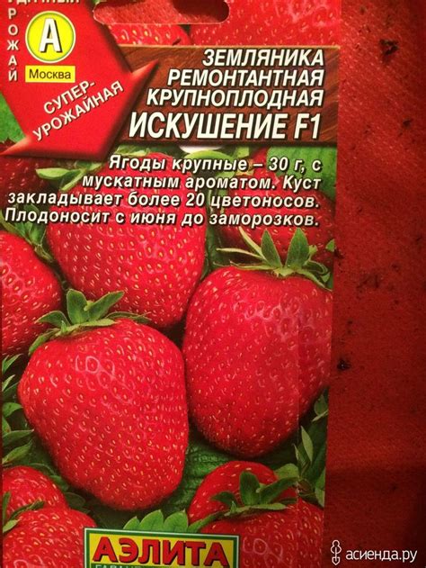 Наступил долгожданный момент Момент посева семян На дворе 21 февраля 2015 г и это самое