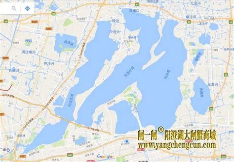 最好的阳澄湖大闸蟹在哪里 阳澄湖大闸蟹官网
