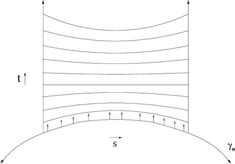Geodesic Variation Download Scientific Diagram
