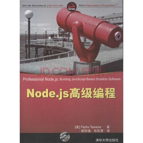 入门Node js 你应该阅读的书籍 源码巴士