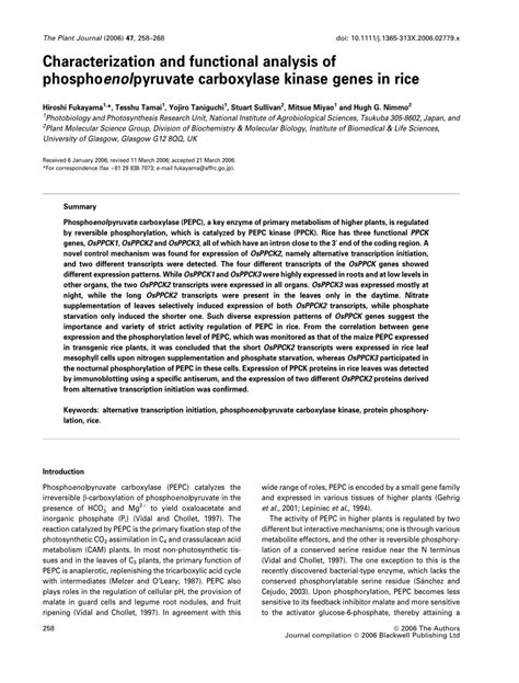 Pdf Characterization And Functional Analysis Of Phosphoenolpyruvate Carboxylase Kinase Genes