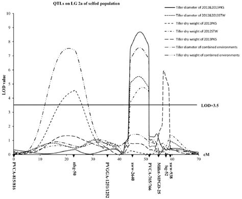 Significant Quantitative Trait Loci Qtl Peaks For Tiller Diameter