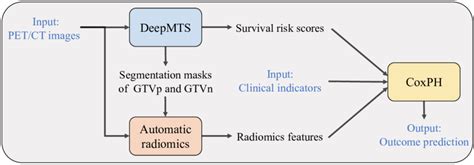 The Workflow Of Our Radiomics Enhanced Deep Multi Task Framework